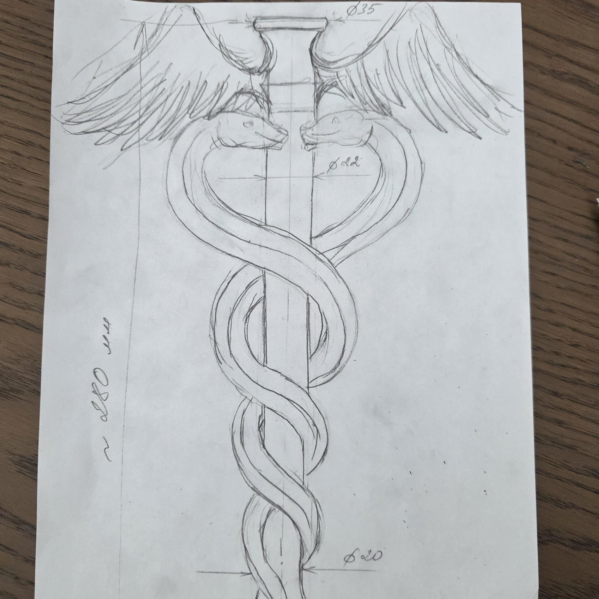 Hand Carved Caduceus Walking Stick: Ash Wood Knob Handle Cane – GC ...